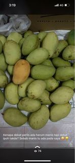 Mangga Harum Manis Original Perlis HQ Gred A, Food & Drinks, Fresh ...