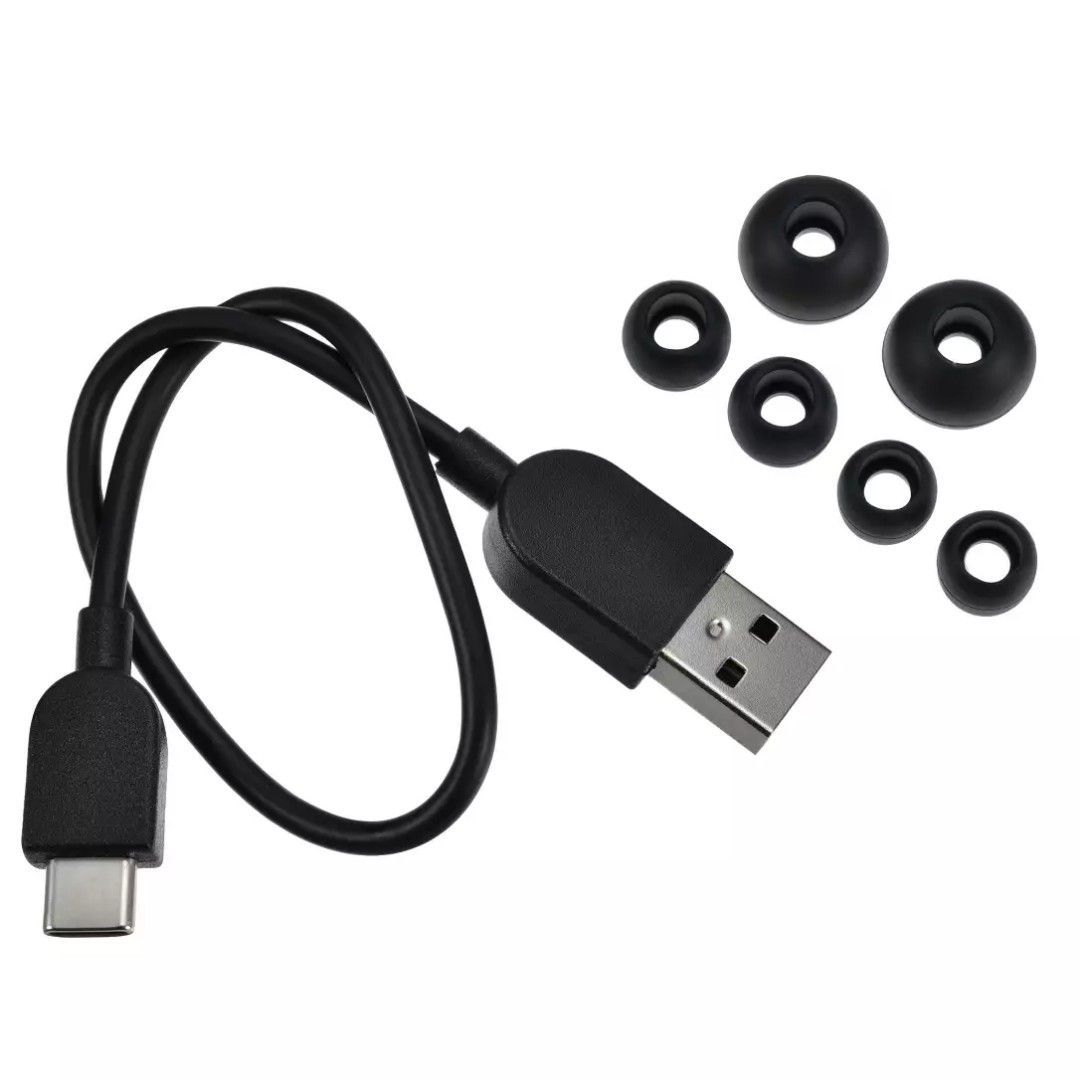 預購 日本代購 Victor x 日本迪士尼聯乘藍牙耳機 無線耳機 藍芽耳機 高飛 米妮 長髮公主 大白 米奇 pre-order ...