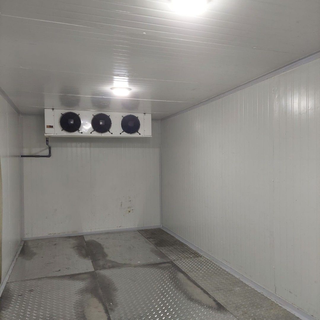 Cold storage / lemari pendingin, Perabotan Rumah di Carousell