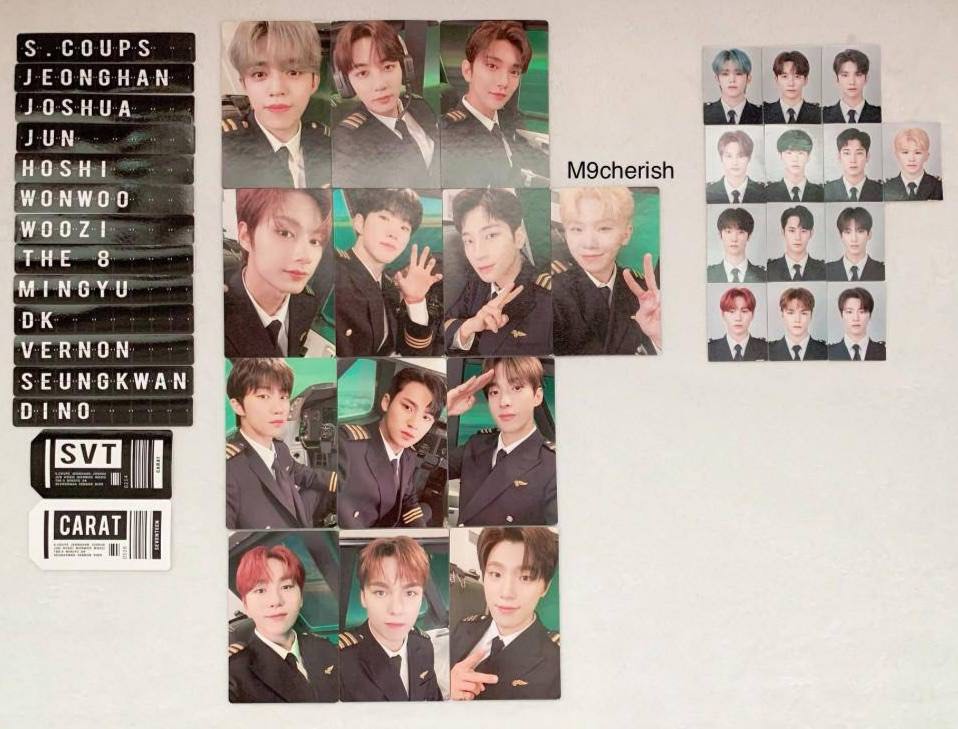 SVT 5th gen membership pilot PC, Hobbies & Toys, Memorabilia ...