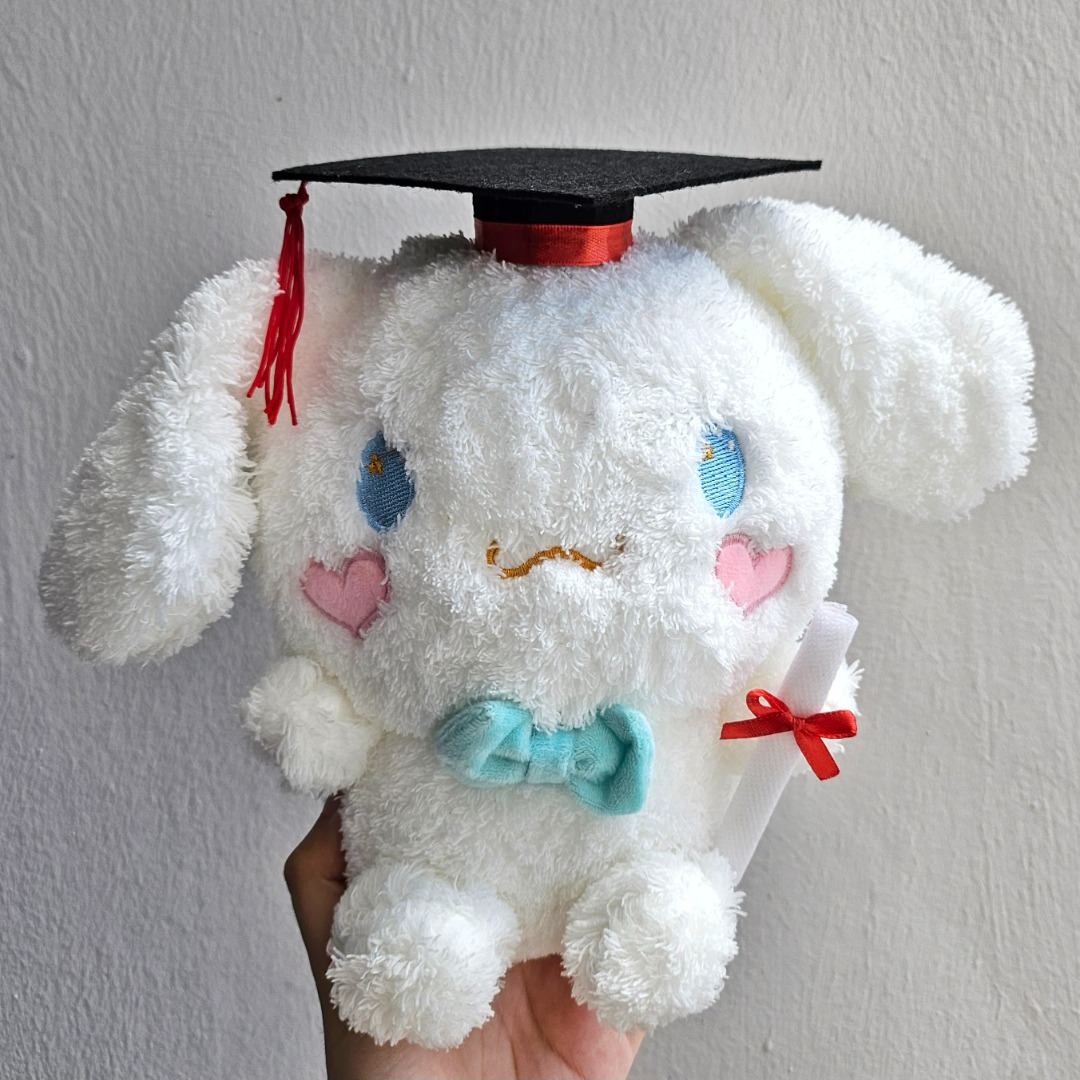 20cm Cinnamoroll Graduation Plush, Hobbies & Toys, Toys & Games on ...