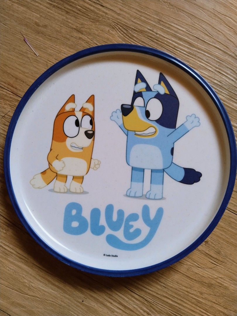 Bluey cartoon show plates for kids / Zak! Designs, Babies & Kids, Baby ...
