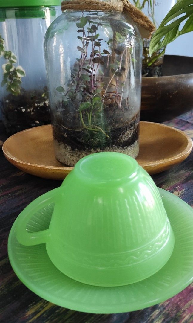 Set cawan dan piring hijau, Furniture & Home Living, Kitchenware ...