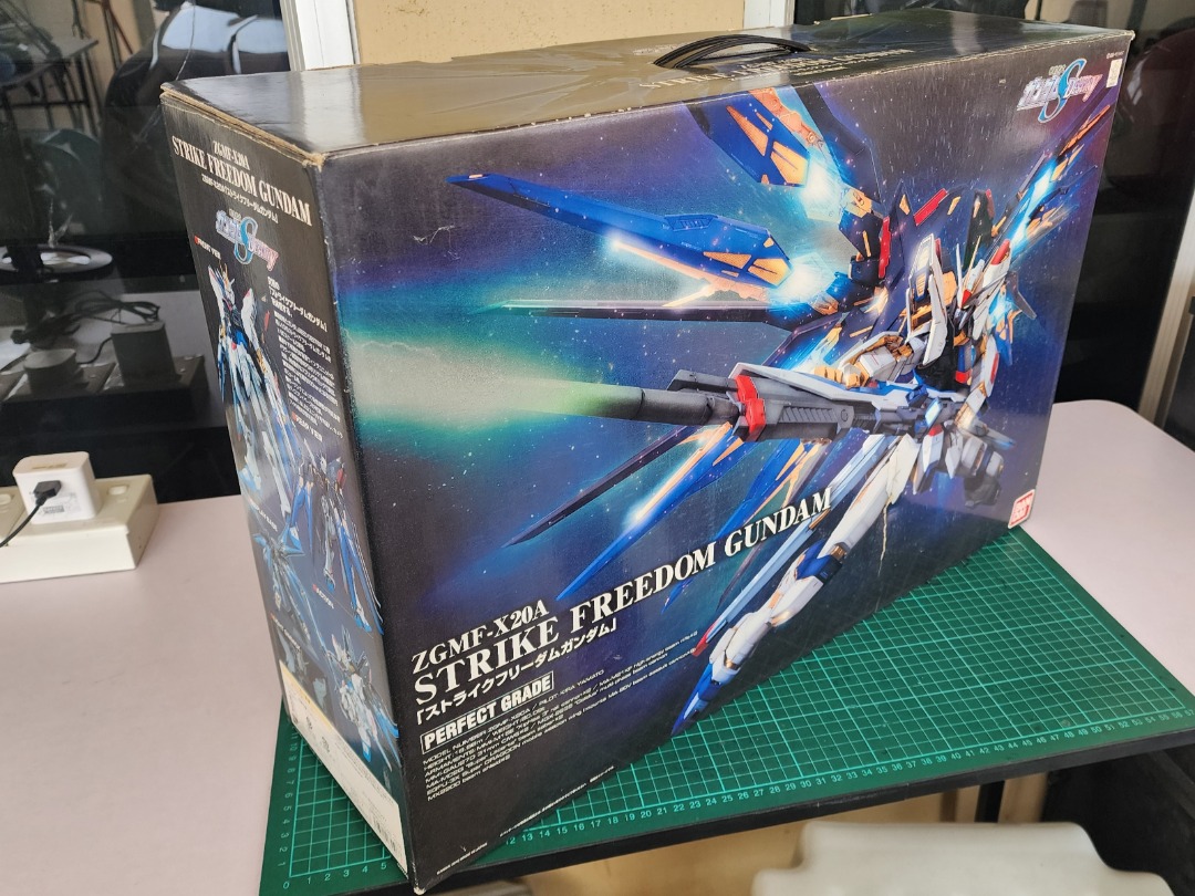 1/60 PERFECT GRADE STRIKE FREEDOM GUNDAM, Hobbies & Toys, Toys & Games ...