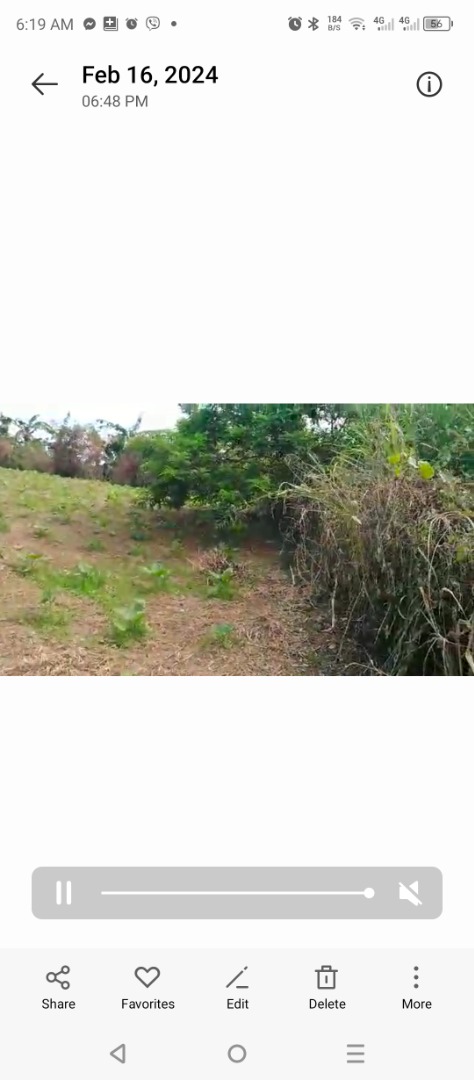 Farm lot in DRT Bulacan 1000sqm, Property, For Sale, Lot on Carousell