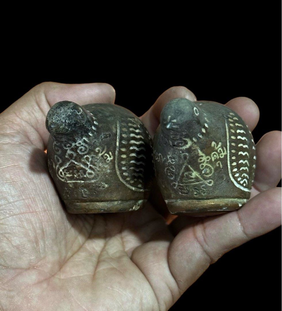 LP Kuay quail bird, Hobbies & Toys, Memorabilia & Collectibles ...