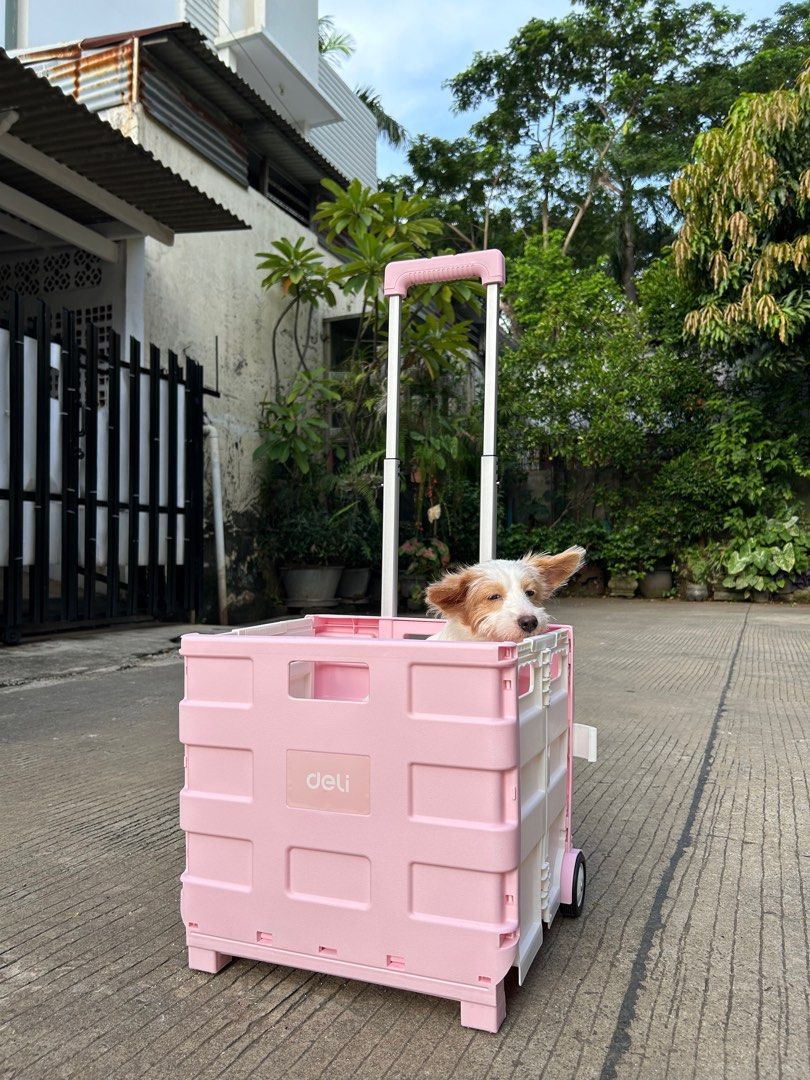 Gerobak Trolley Roda dorong 45L — Deli Flat Cart, Perabotan Rumah di ...