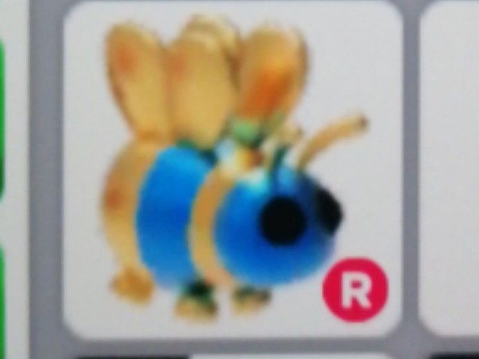 Ride queen bee for affordable prices! Adopt me, Video Gaming, Gaming ...