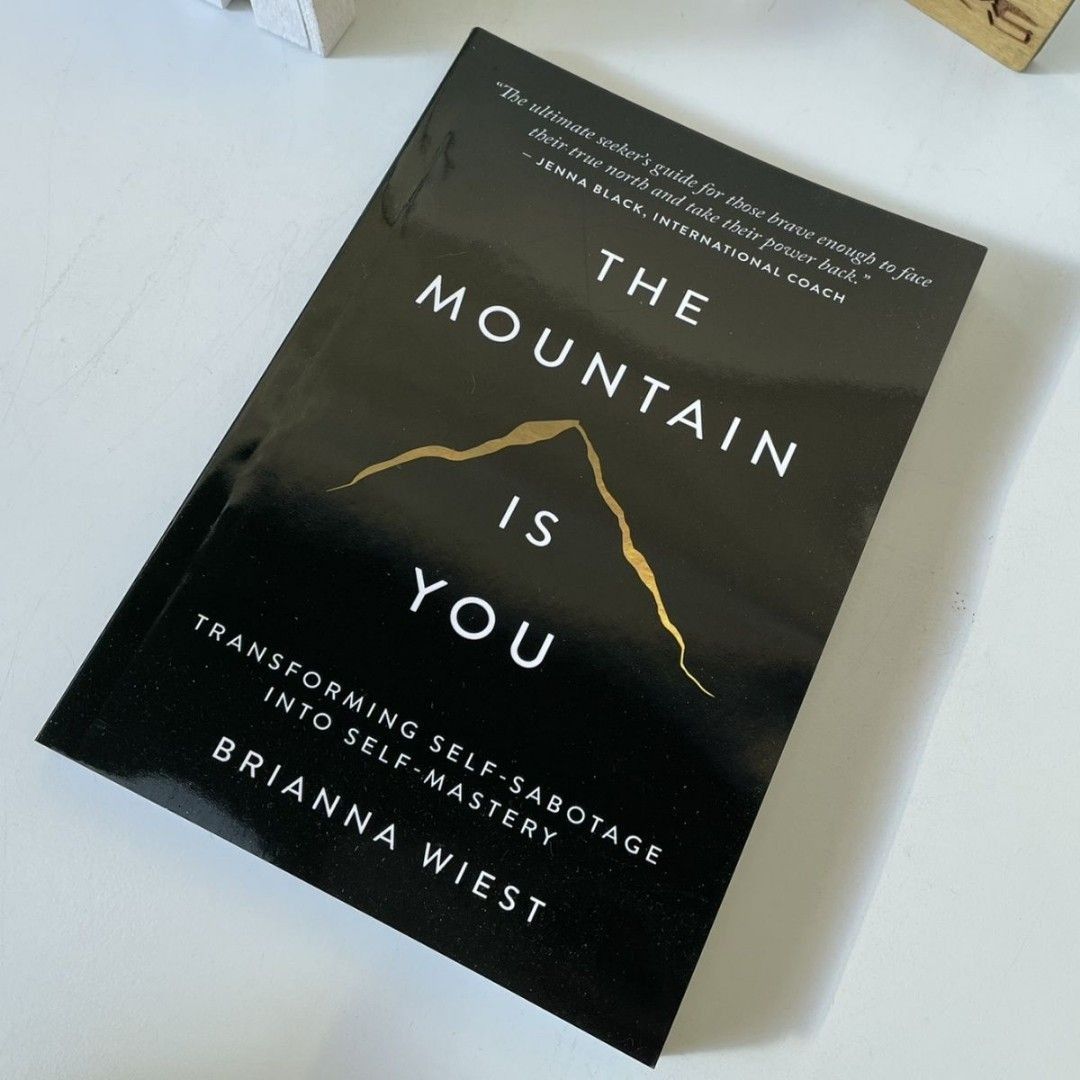 Synopsis Of The Mountain Is You Transforming Self Sabotage Into Self Mastery
