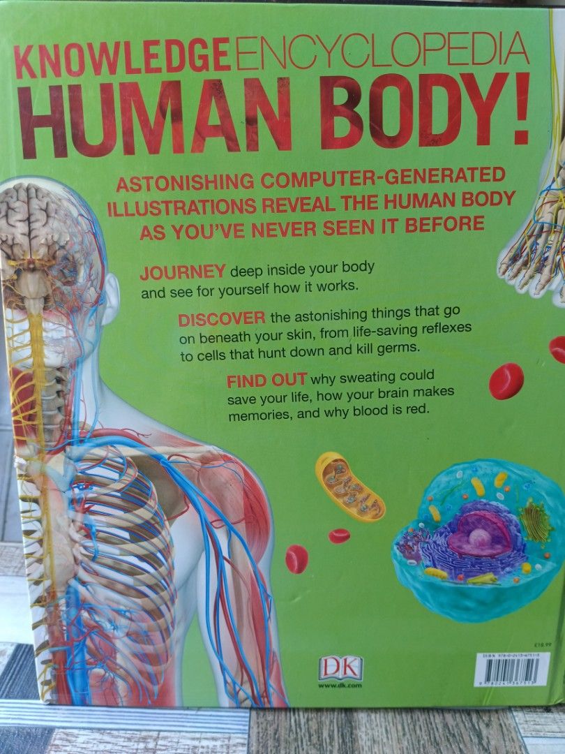 DK Knowledge Encyclopedia Human Body, Hobbies & Toys, Books & Magazines ...