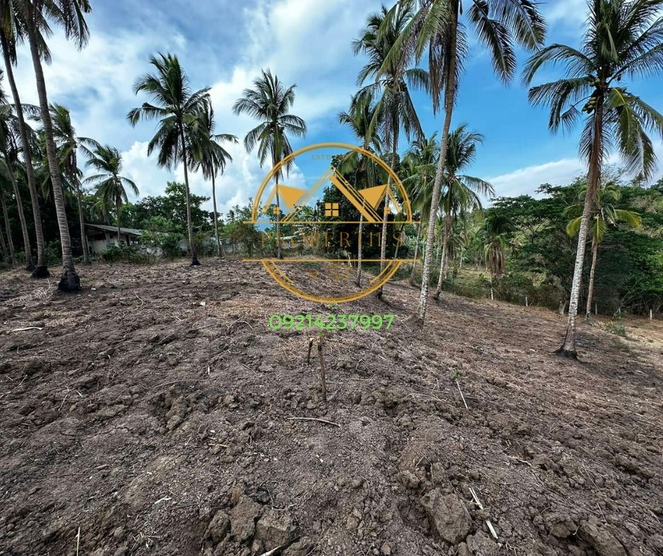 FARM LOT FOR SALE BRGY. MANGGAHAN, DOLORES, QUEZON, Property, For Sale ...