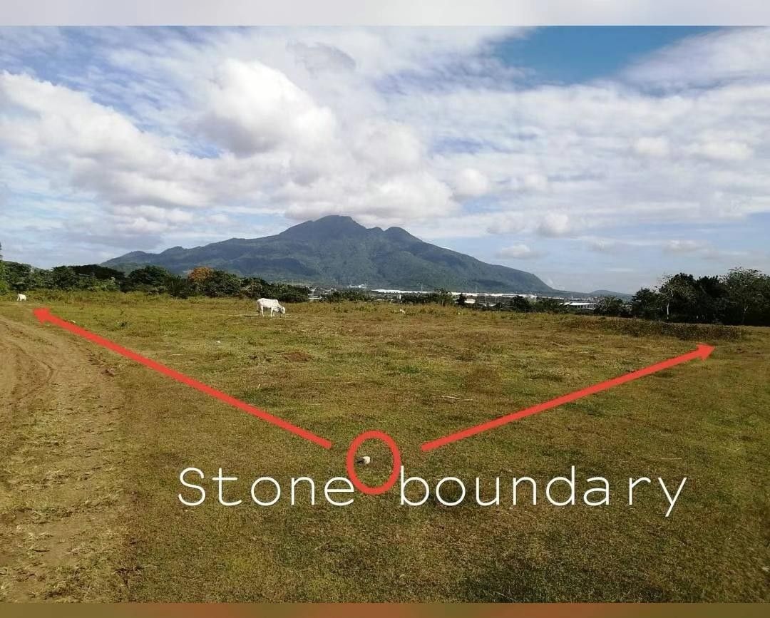 Farm Lot in Calamba Laguna, Property, For Sale, Lot on Carousell
