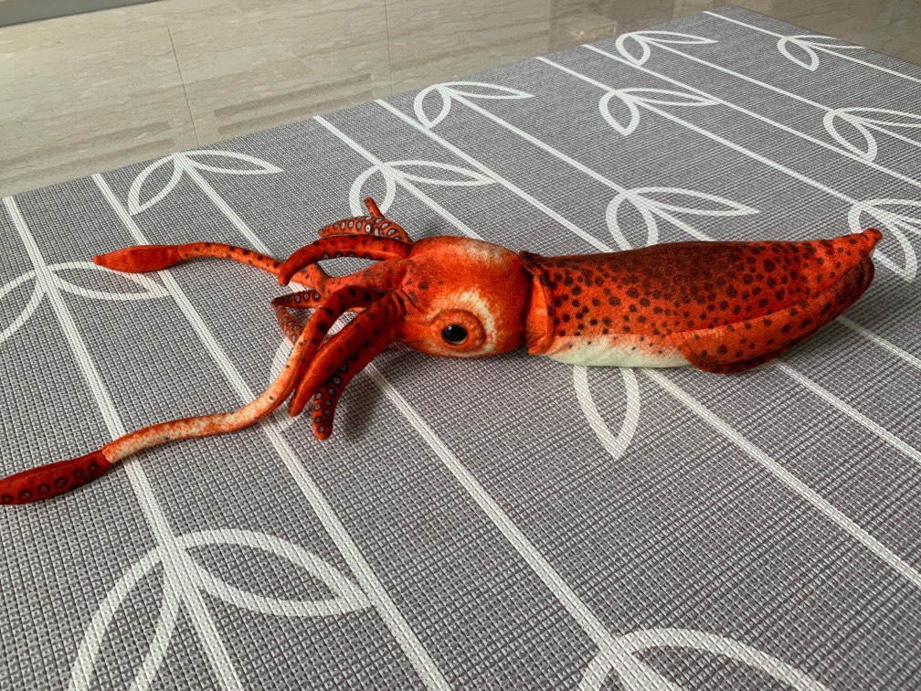 Giant Squid Soft Toy, Hobbies & Toys, Toys & Games on Carousell