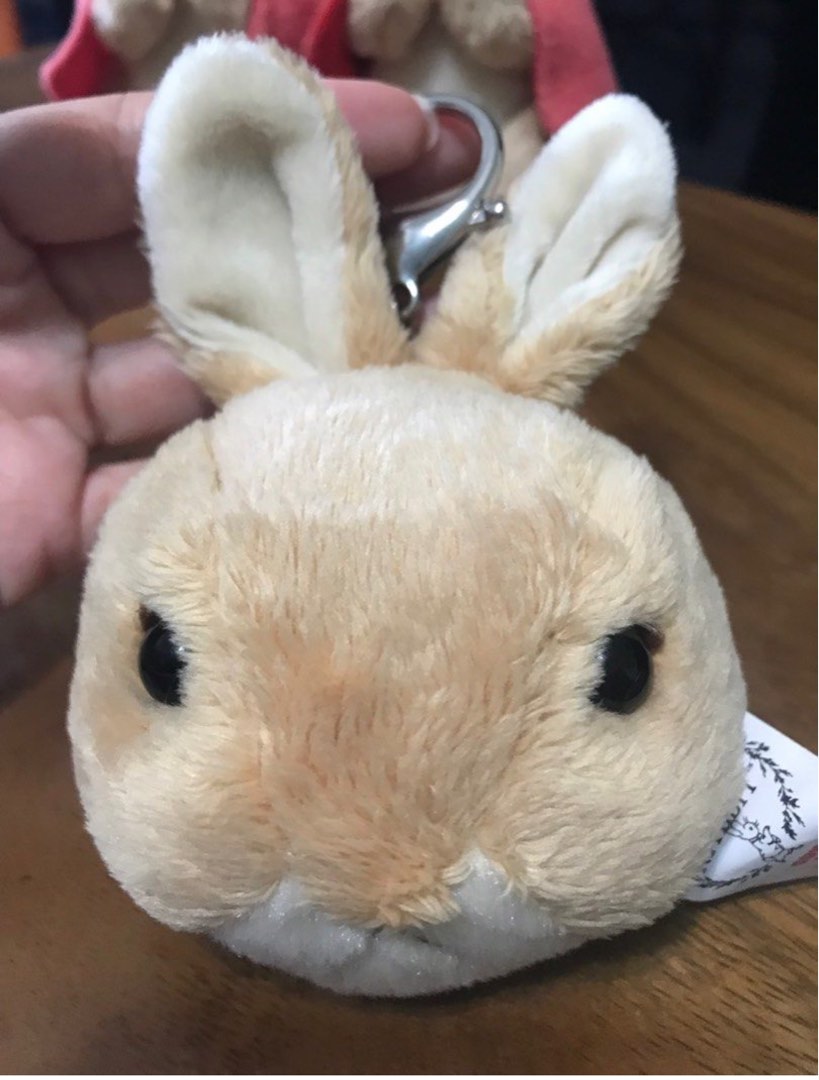 Peter Rabbit Coin Pouch, Women's Fashion, Bags & Wallets, Purses ...