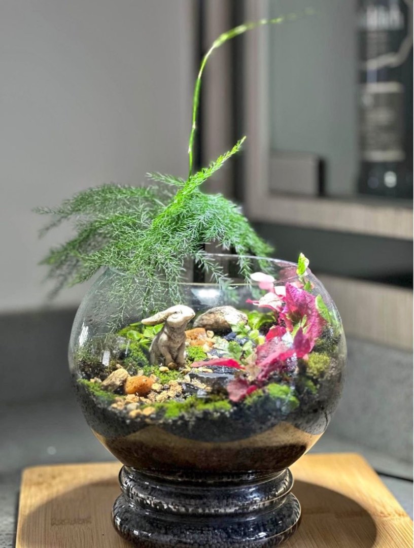 Rabbit In Wonderland Terrarium , Furniture & Home Living, Home Decor ...