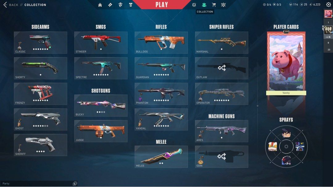 Valorant account with xerofang bundle and more, Video Gaming, Gaming ...