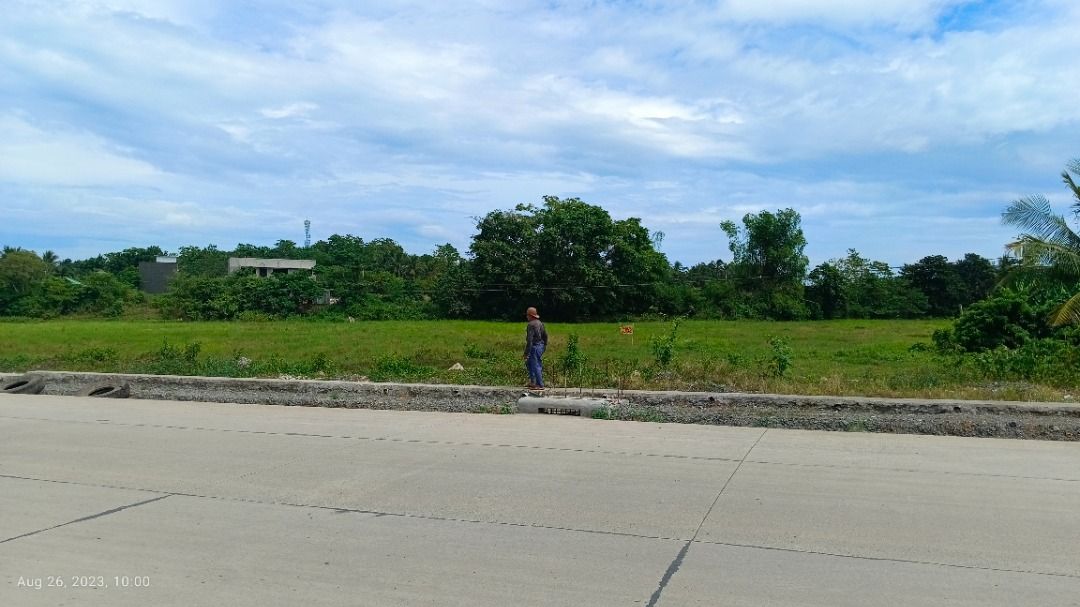 35,482 sqm Good for Commercial-Residential Subdivision Roxas City, Wide ...