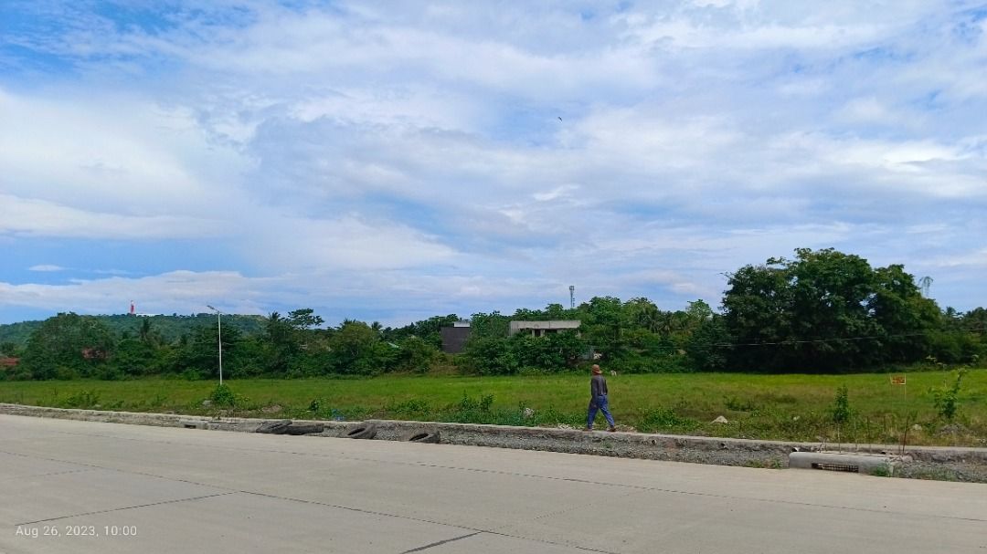 35,482 sqm Good for Commercial-Residential Subdivision Roxas City, Wide ...