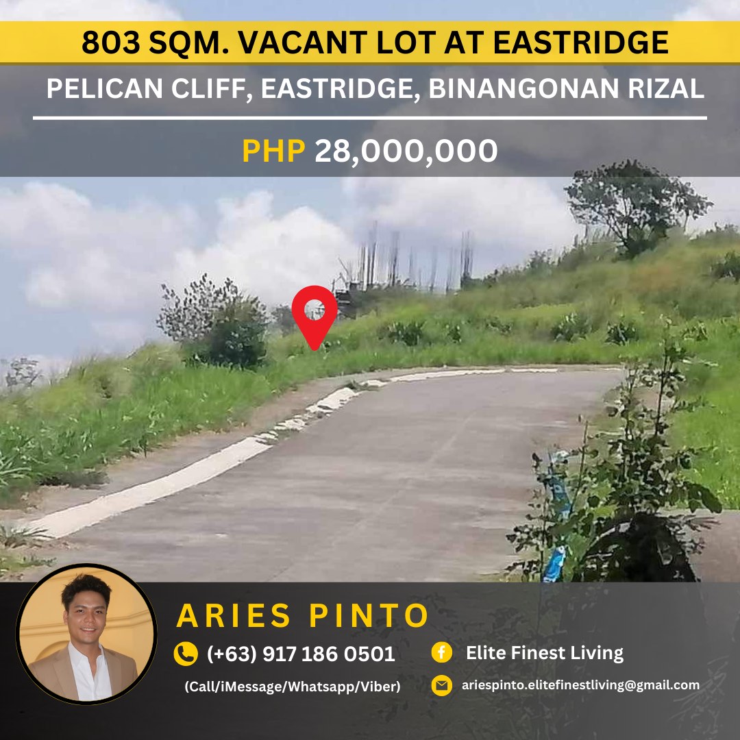 803 sqm. Vacant Lot at Pelican Cliff, Eastridge with view of Laguna De ...