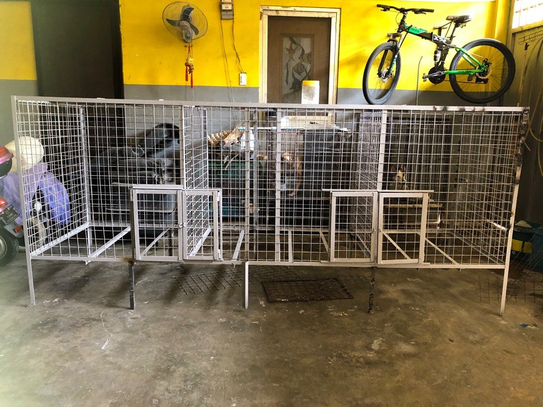 Dog Cage | Kulungan ng Aso, Pet Supplies, Homes & Other Pet Accessories ...
