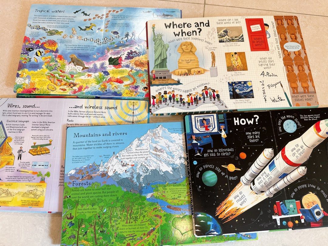 USBORNE Flap Book Lift the flap Questions and Answers 兒童益智書 揭揭書 Sea Art ...