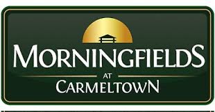 Morningfields at Carmeltown 120sqm Lot only, Property, For Sale, Lot on ...