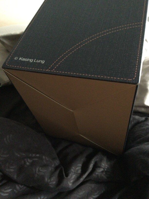 PO : POPMART Labubu Fall in Wild 40cm vinyl plush doll, Hobbies & Toys ...