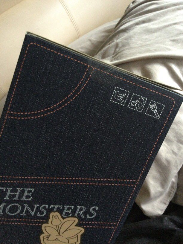 PO : POPMART Labubu Fall in Wild 40cm vinyl plush doll, Hobbies & Toys ...