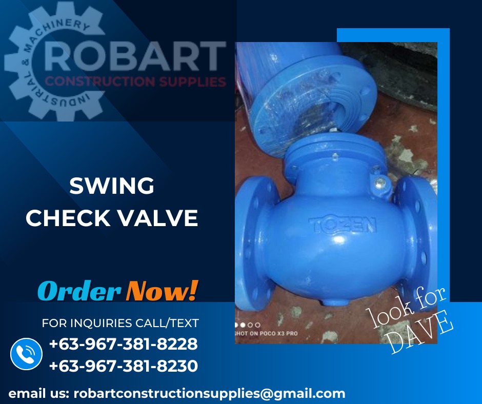 SWING CHECK VALVE, Commercial & Industrial, Construction Tools ...