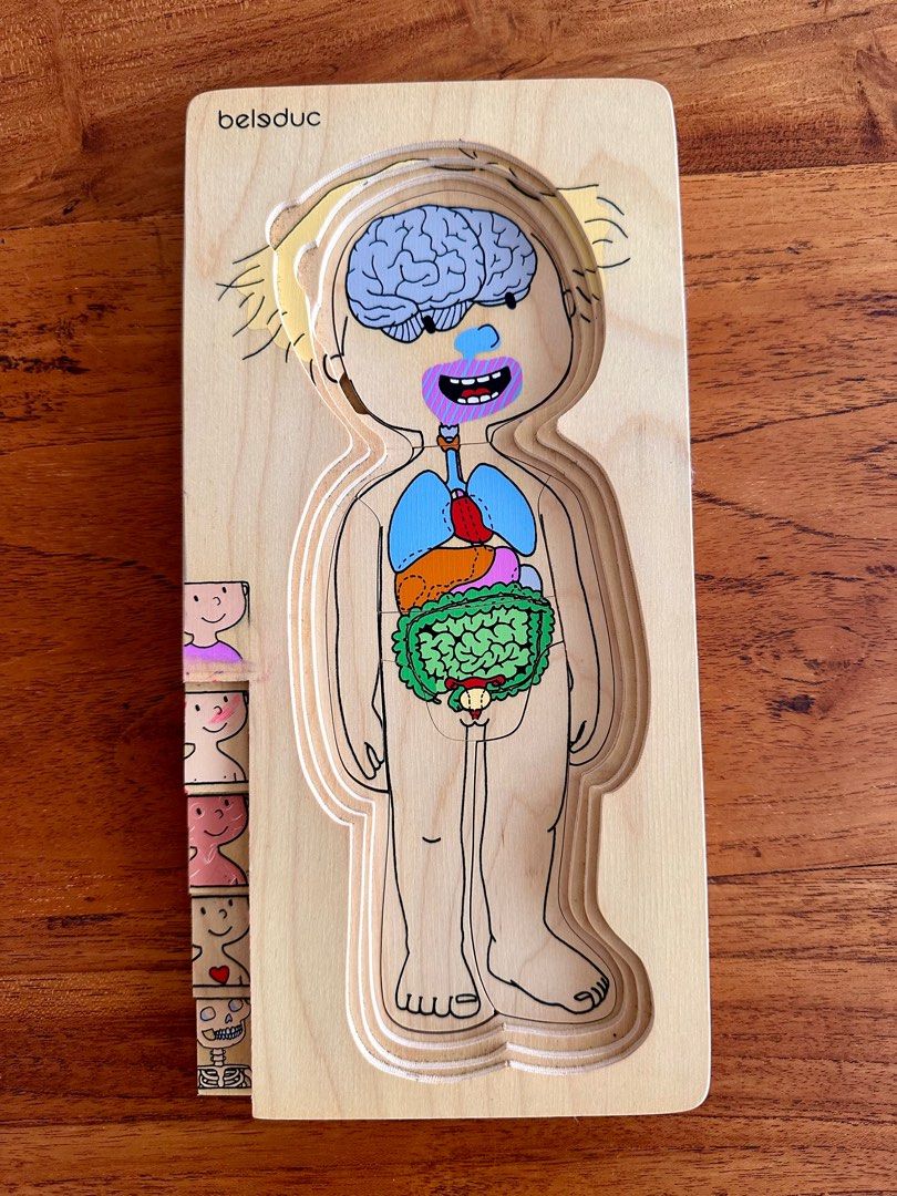Beleduc “Your Body” 5-Layer Wooden Puzzle Girl, Hobbies & Toys, Toys ...