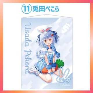 Hololive Usada Pekora Bandai Card Pack, Hobbies & Toys, Collectibles ...