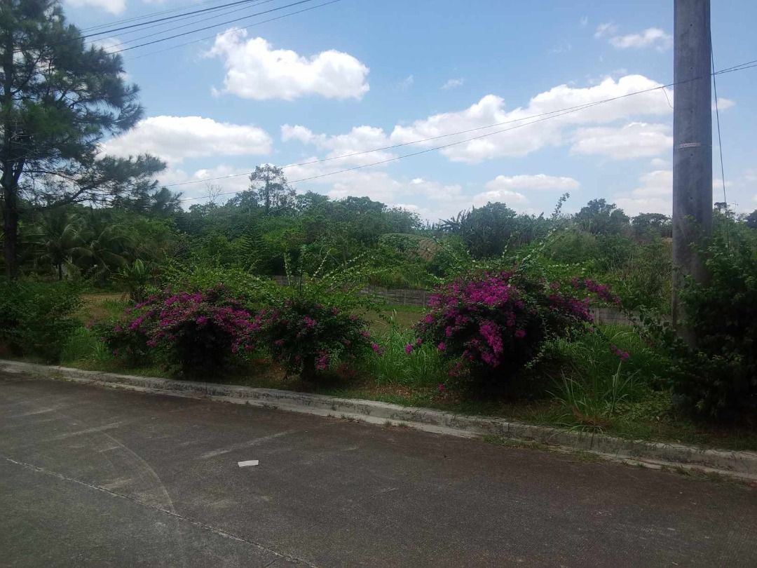 Ponderosa Farm Lot For Sale in Silang Cavite Cool Tagaytay Weather ...