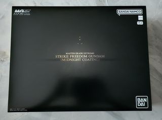 Premium Bandai MG 1/100 Eclipse Gundam + Maneuver Type Equipment ...