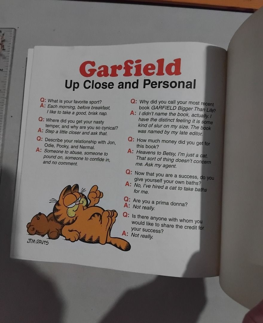 Garfield Fat Cat 3-Pack: Vol. 1 - Garfield at Large, Garfield Gains ...