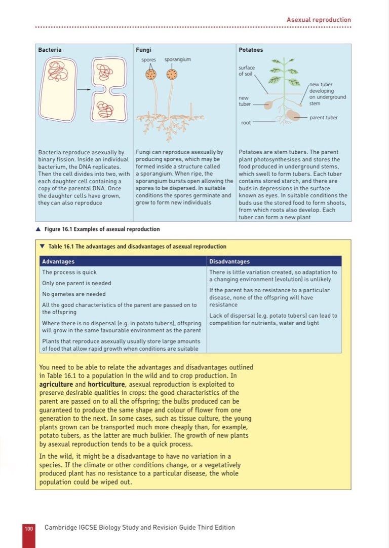 PDF IGCSE Biology Study and Revision Guide, Hobbies & Toys, Books ...