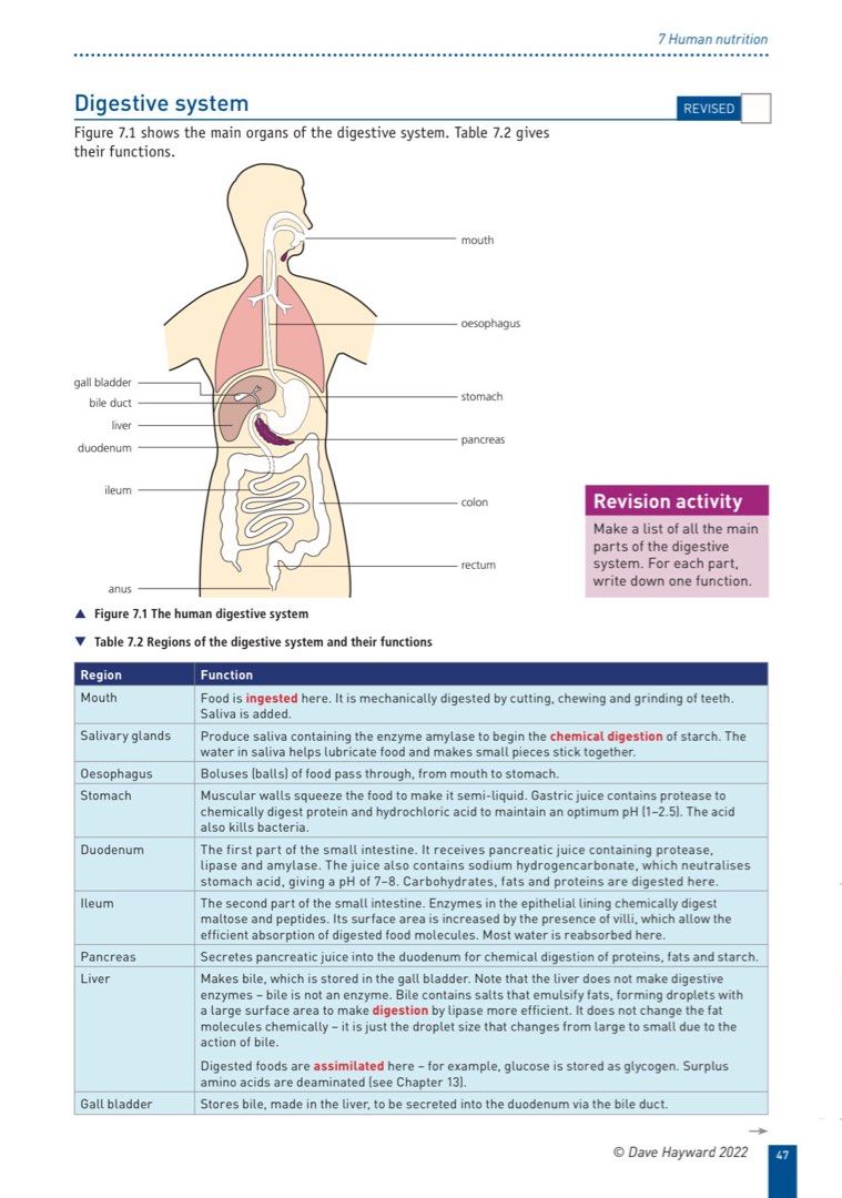 PDF IGCSE Biology Study and Revision Guide, Hobbies & Toys, Books ...