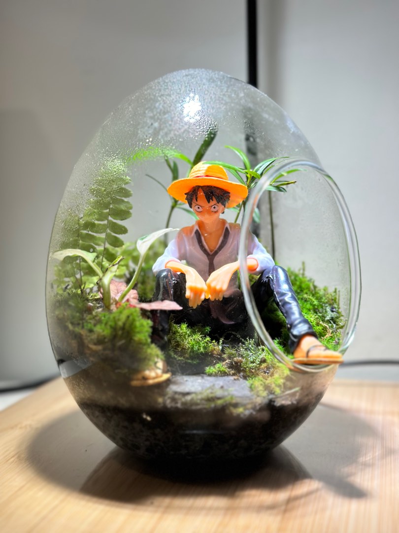 Boy Anime Terrarium, Furniture & Home Living, Home Decor, Artificial ...