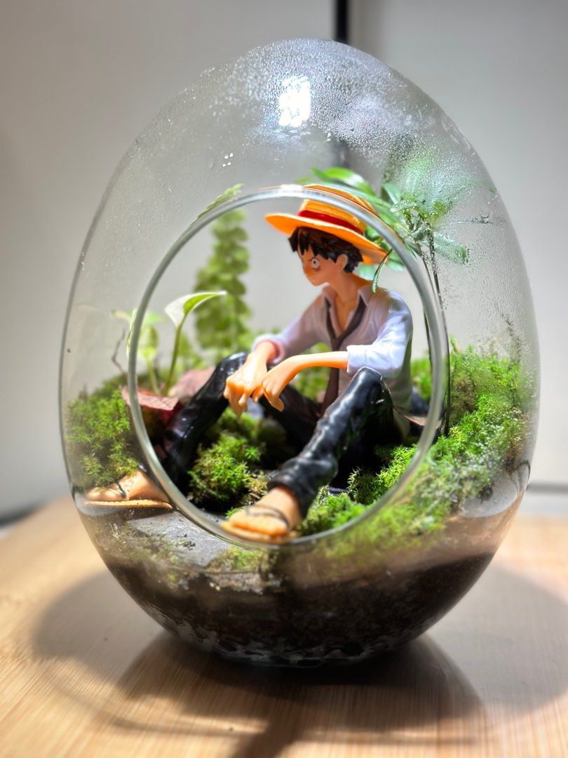 Boy Anime Terrarium, Furniture & Home Living, Home Decor, Artificial ...