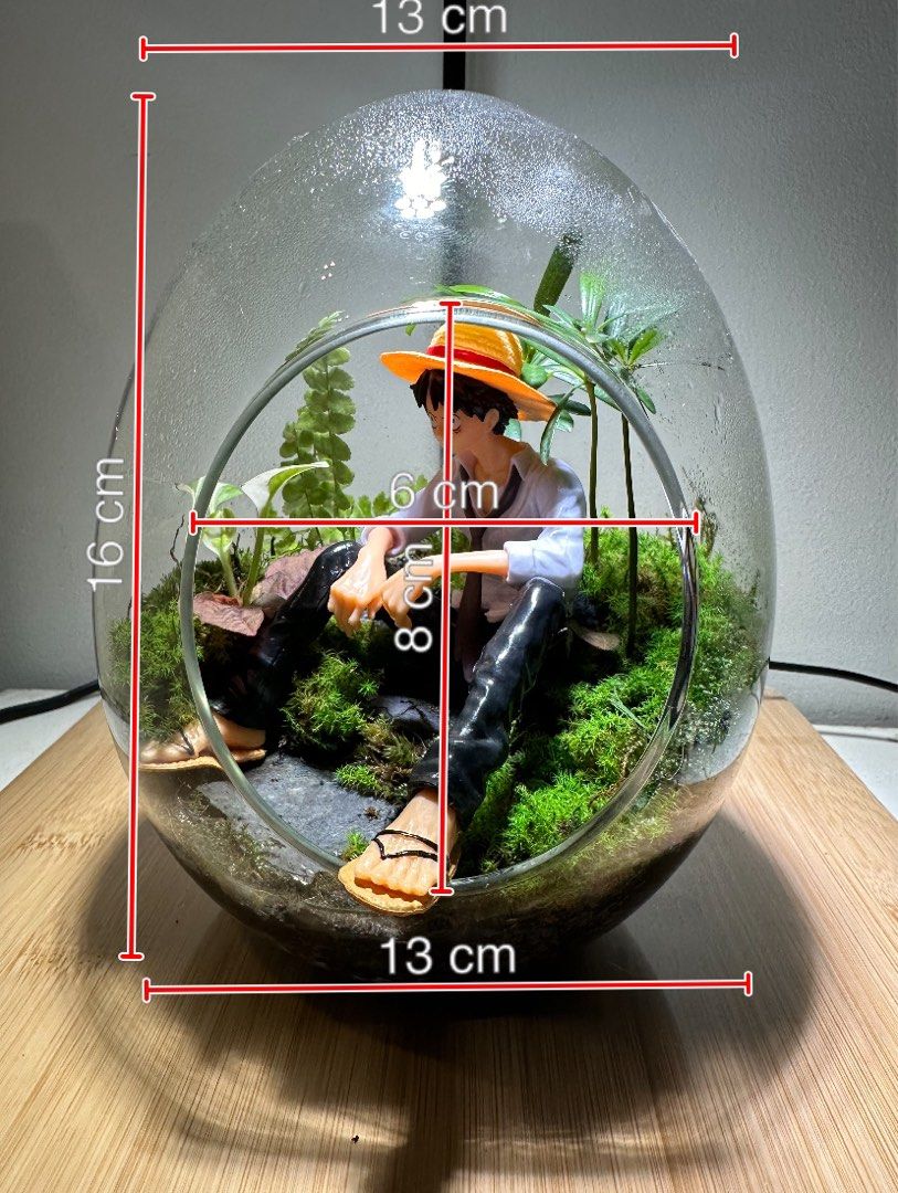 Boy Anime Terrarium, Furniture & Home Living, Home Decor, Artificial ...