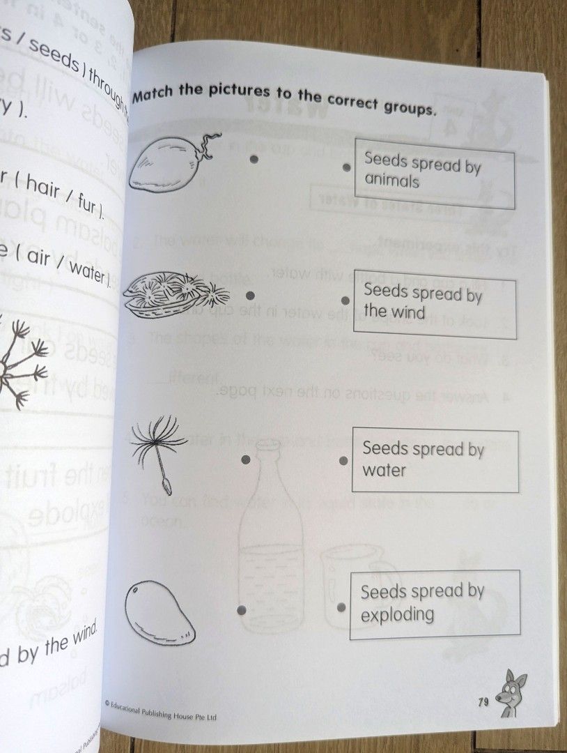 EPH Superbook Science - Age 5&6 Kindergarten, Hobbies & Toys, Books ...