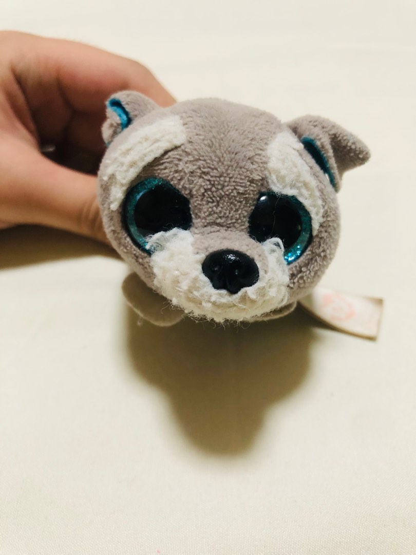 TY Teeny Ty- Jack, Hobbies & Toys, Toys & Games on Carousell