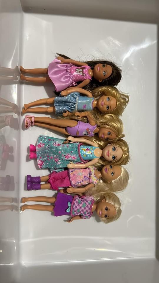 Chelsea Barbie Dolls Hobbies And Toys Toys And Games On Carousell