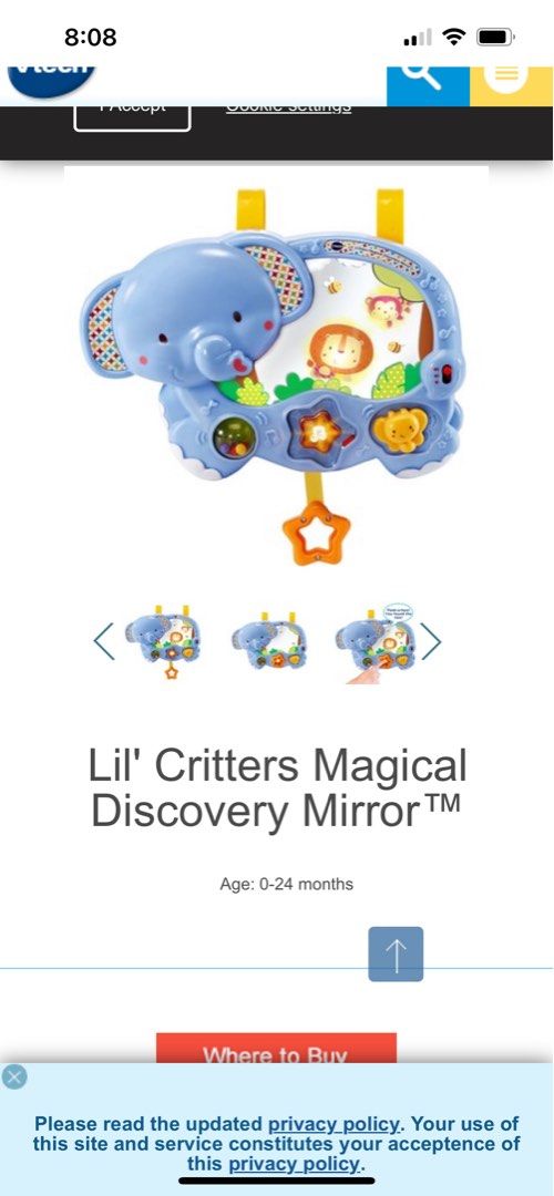 Vtech little critters magical mirror, Hobbies & Toys, Toys & Games on ...