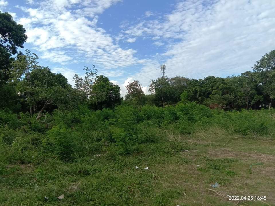 Alfonso Cavite Farm lot 1 Hectare for sale, Property, For Sale, Lot on Carousell