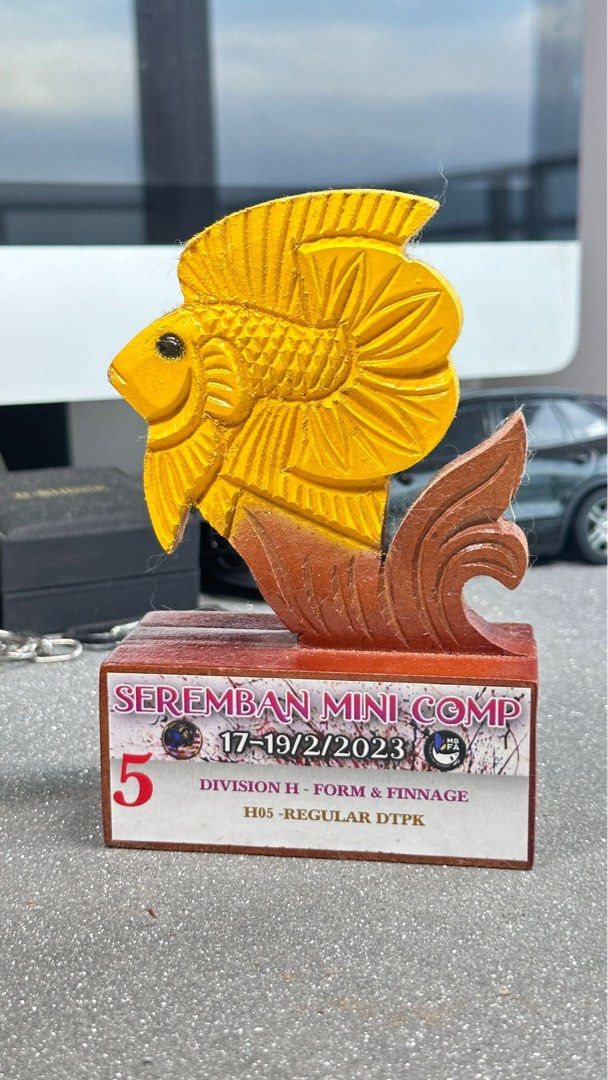 Betta Competition Trophies For Sale. Bundle E, Hobbies & Toys, Toys ...
