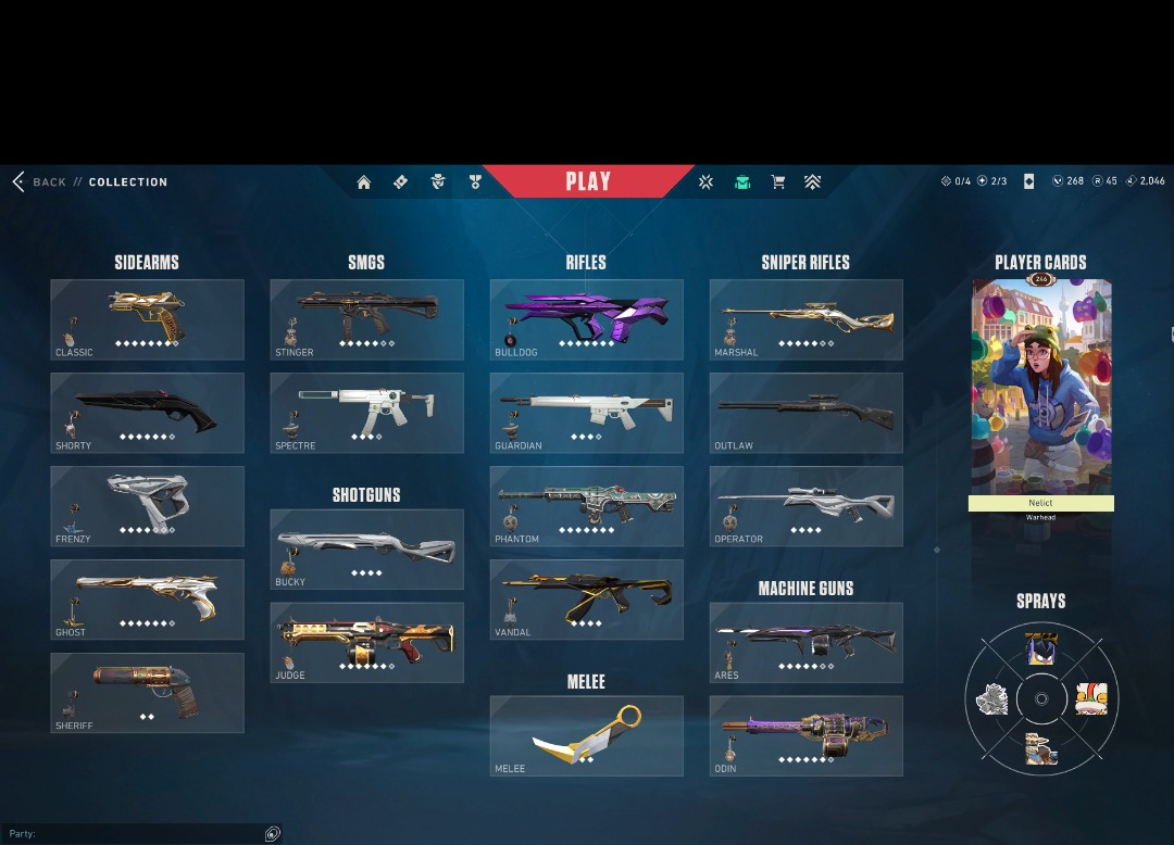 Valorant Account CHAMPIONS 2023 VANDAL, Video Gaming, Gaming ...