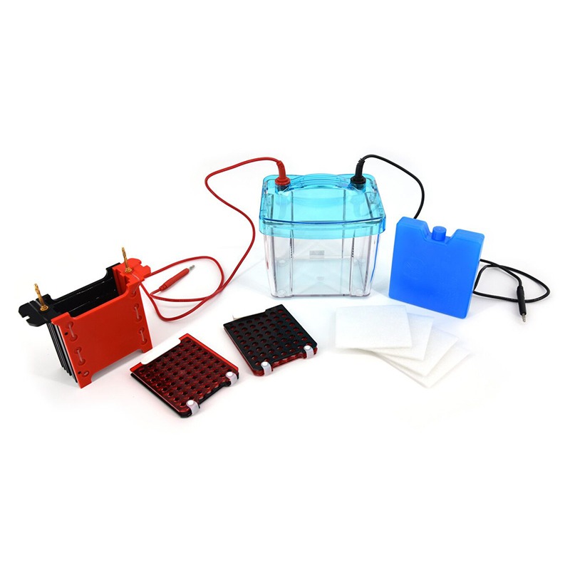 Trans-Blotting Electrophoresis Cell DYCZ–40G (Transfer Tank- Western ...