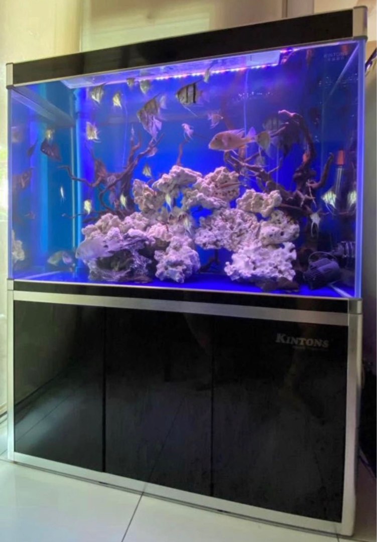Aquarium 4ft Crystal Clear Tank, Pet Supplies, Homes & Other Pet ...