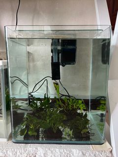 Eheim 2260 XL 1500 aquarium filter, Pet Supplies, Homes & Other Pet ...