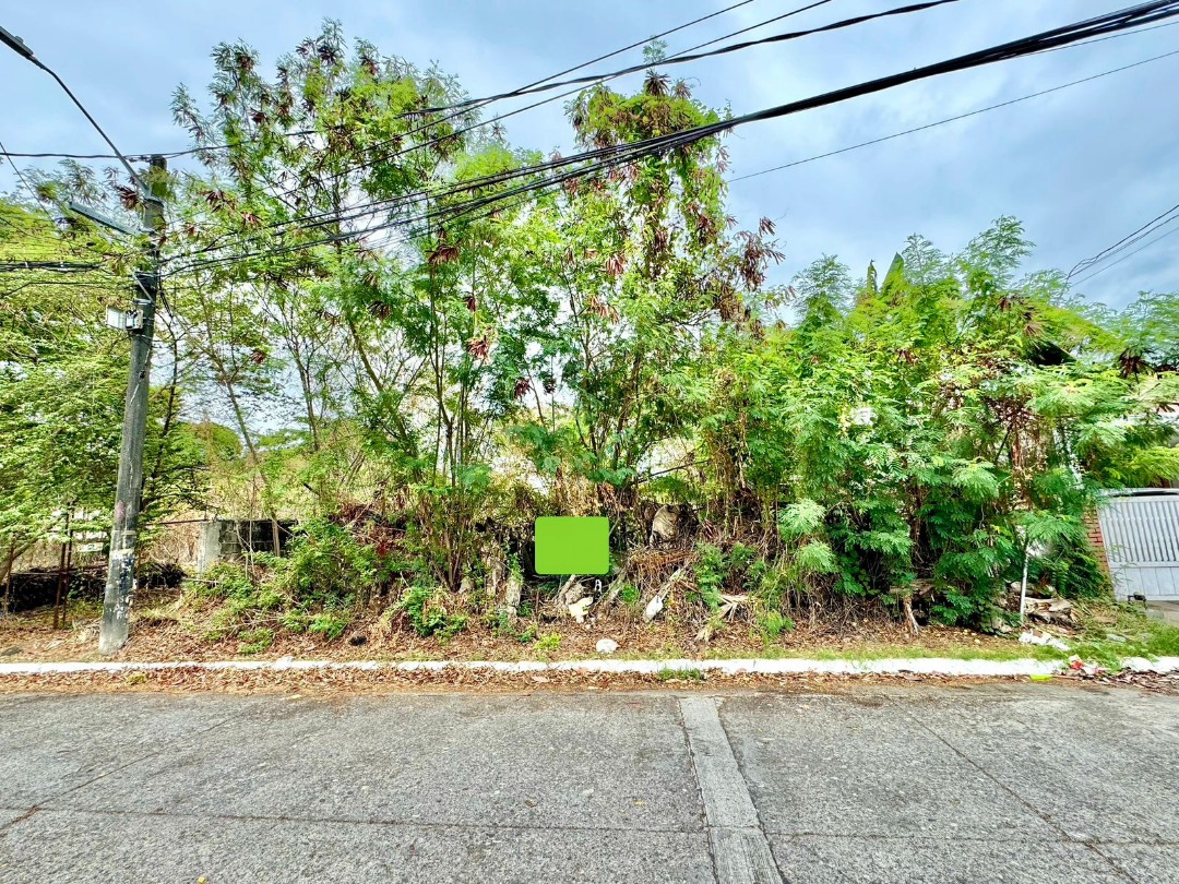 Marcelo Green Village | Residential Lot For Sale - #7058, Property, For ...